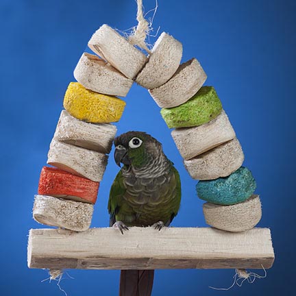 Swings & Perches – Chirp Central